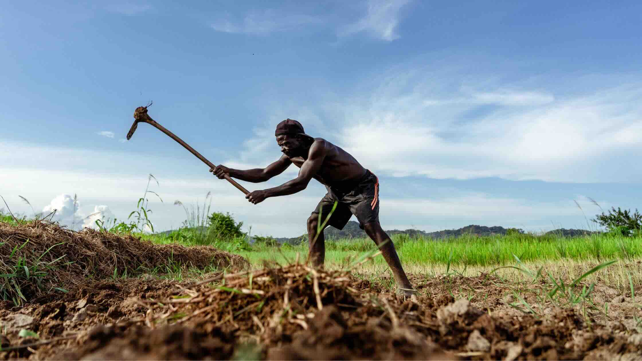 I AM: Finding Purpose in Doing One’s Task - Fr. Maurice Emelu